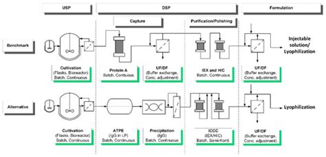 Accelerating Biologics Manufacturing By Modeling Process Integration
