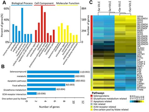 The Go Analysis A With Go Database And The Pathway Analysis B With