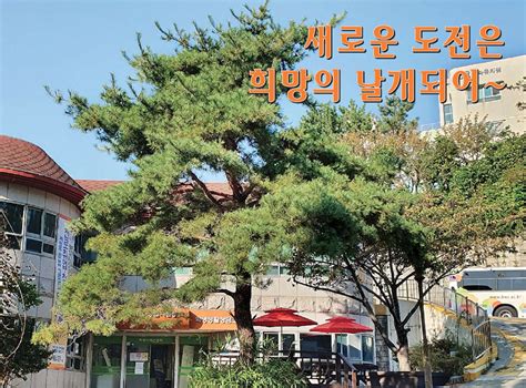 부산여자대학교 사이버홍보실