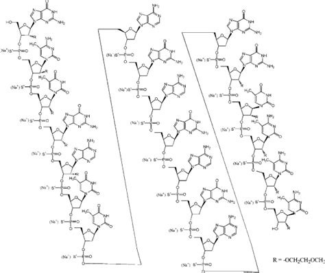 Oligonucleotide Structure