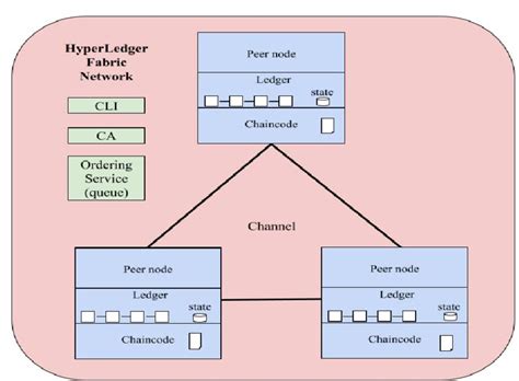 three peers in a hyperledger fabric blockchain we shall now describe