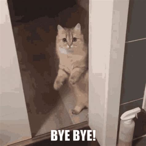 Byeeee S