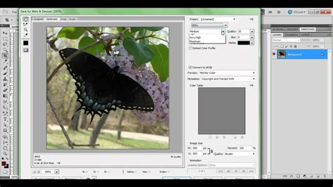 Image Resizing Tutorialwmv Youtube