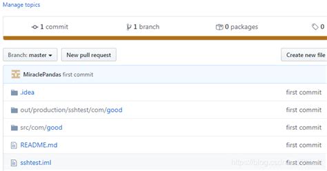Git安装以及密钥配置，将intellij Idea上的代码上传到githubidea配置git密钥 Csdn博客
