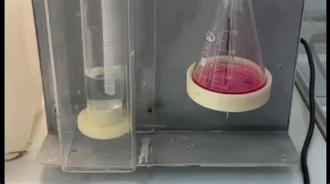 Ilmskts Определение мд белка в мясе оленя этап добавления щелочи Il Дата