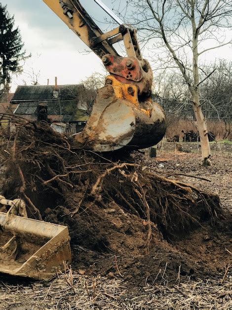 Uprooting Trees Images Free Download On Freepik