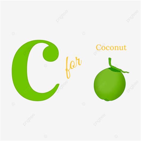 코코넛 벡터 일러스트 레이 션에 대 한 영어 알파벳 C 영어 알파벳 영어 문자 C C 코코넛 Png 일러스트 및 벡터 에
