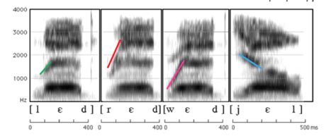 Exam 2 Speech Acoustics 3 Flashcards Quizlet