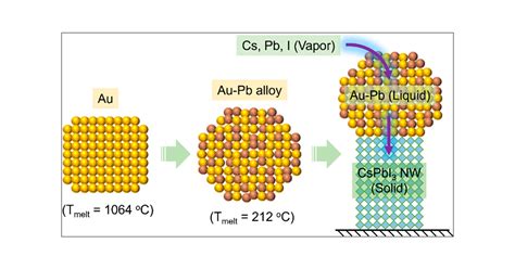 Au Seeded Cspbi3 Nanowire Optoelectronics Via Exothermic Nucleation Nano Letters