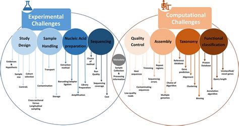 A Schematic Overview Outlining Various Experimental And Computational Download Scientific