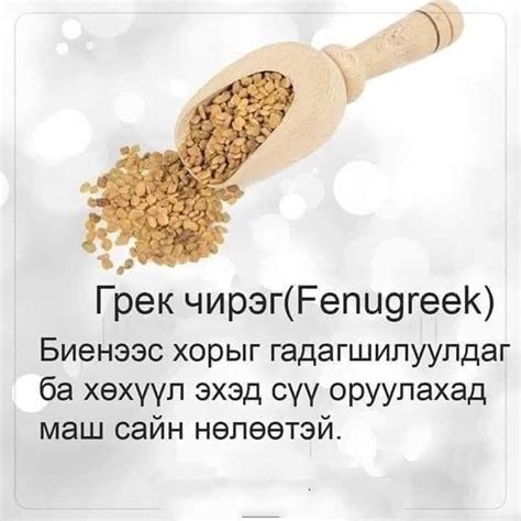 Эрүүл мэндээ Эрүүл мэндээ хайрладаг хүн бүрт зориулав