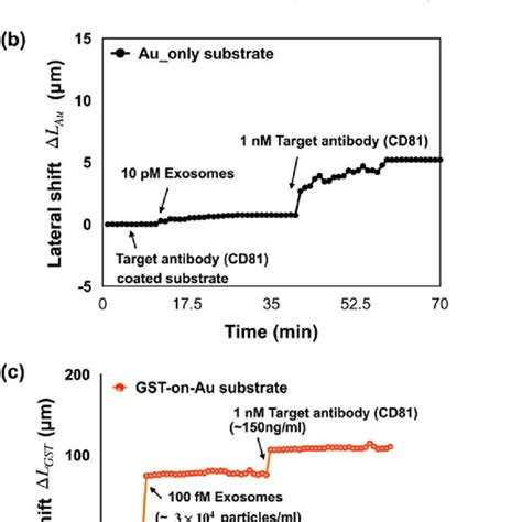 Detection Of Exosomes A Schematic Diagram Of The Detection Process Download Scientific