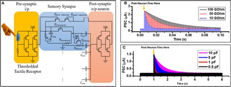 A Schematic Illustration Of Sparse Coding Of Tactile Data From