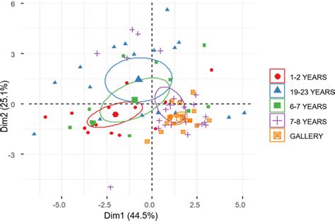 Morphological Traits Of The Soldier Caste Heterotermes Tenuis The