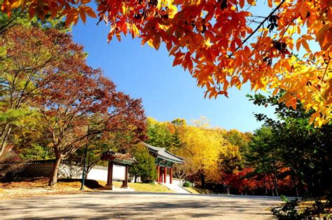 부여 궁남지·부소산성 ‘2023~2024 한국관광 100선 선정 부여 궁남지·부소산성 ‘2023~2024 한국관광 100선 선정