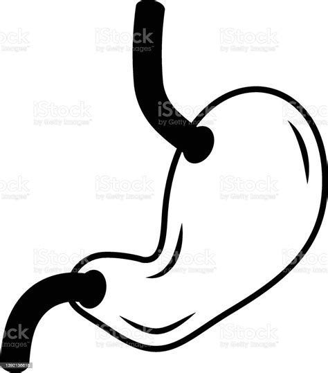 인간의 위장 개념 음식 소화 시스템 벡터 라인 아이콘 디자인 장기 시스템 기호 인체 해부학 기호 인체 부품 스톡 일러스트레이션 건강관리와 의술에 대한 스톡 벡터 아트 및