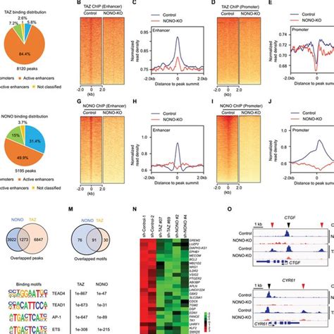Svm Sequence Models Better Predict Binding Sites Than Traditional Motif