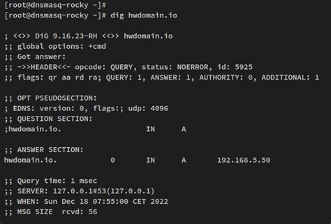 cómo instalar un resolvedor dns local con dnsmasq en rocky linux howtoforge