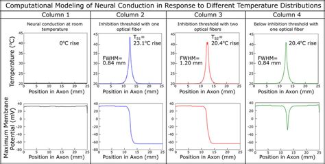 Computational Modeling Results One Dimensional Temperature Profiles