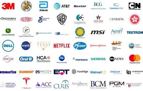 Transform Your Message With Animated Explainer Videos