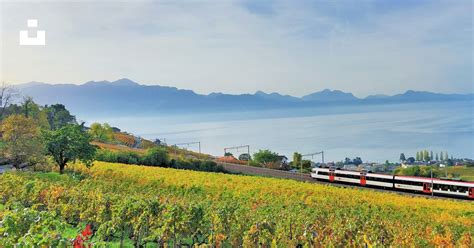 무성한 녹색 시골을 여행하는 기차 사진 Unsplash의 무료 산 이미지