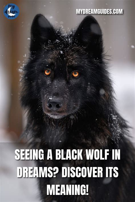 Seeing A Black Wolf In Dreams Discover Its Meaning Black Wolf Facts