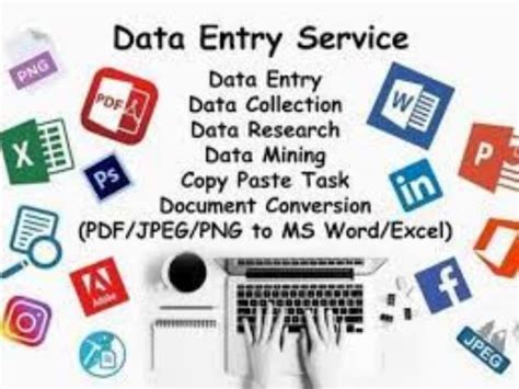 A Data Ninja Entry And Processing By Sidraio Fiverr