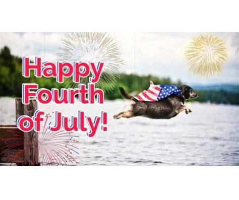 Patriotic Independence Day Memes The Funny Beaver