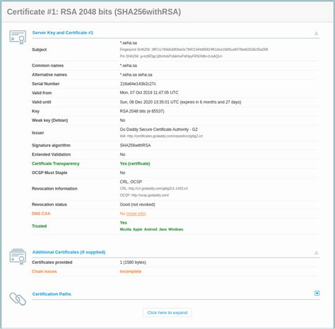 Bug Ssl Errors When Run In Mode With Node 10x Env · Issue 107 · Alixaxelchrome Aws Lambda
