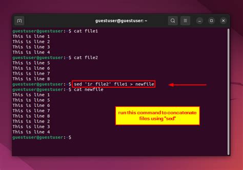 7 Easy Ways To Concatenate Files In Linux