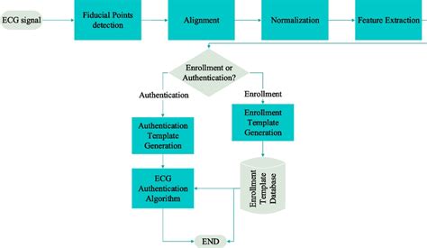 Block Diagram Of An Ecg Based Authentication System Download Scientific Diagram