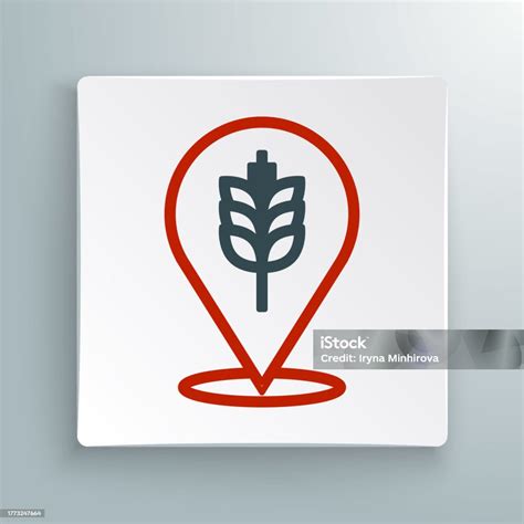 쌀 밀 옥수수 귀리 호밀 보리 아이콘이 흰색 배경에 고립 되어 있는 라인 시리얼 밀 빵 기호의 귀 다채로운 개요 개념 벡터