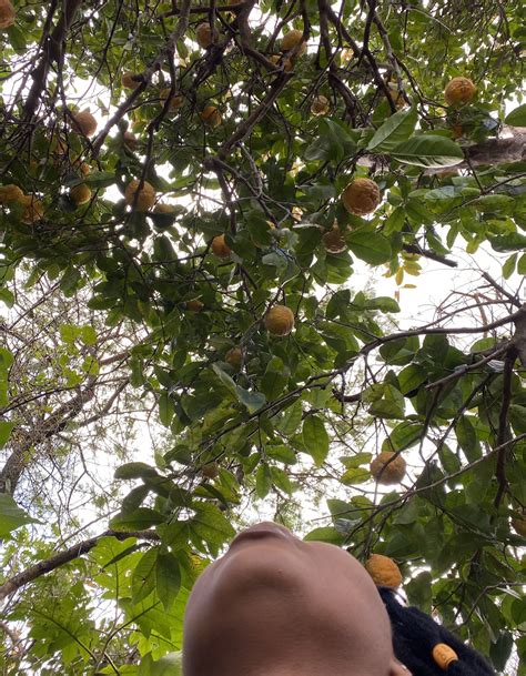 Emandulo Emandulo Twitter