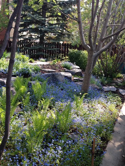 Classic Woodland Garden Jvr Landscape