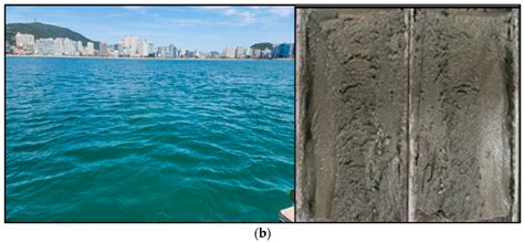 Neural Network Based Underwater Object Detection Off The Coast Of The