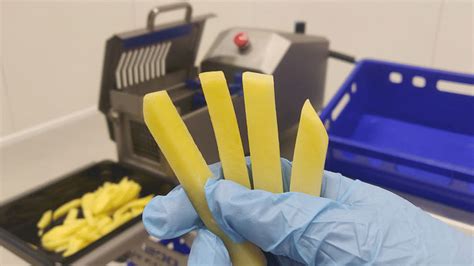 Sormac Vegetable Sticks Machine Gsm 1200 Potatopro