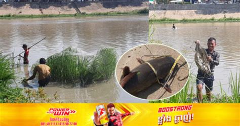 ពលរដ្ឋជាច្រើននាក់ ទៅចាប់ត្រីនៅក្នុងស្ទឹងព្រែកត្នោត ខណៈត្រីនៅក្នុងស្ទឹងកំពុងពុលទឹក