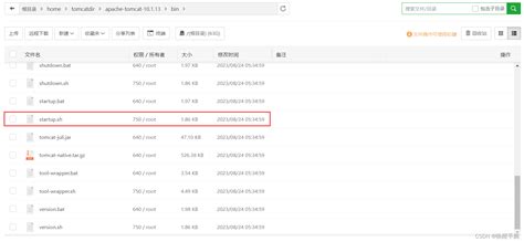 Linux 操作系统云服务器安装部署 Tomcat 服务器详细教程如何在linux 云服务器上安装tomcat Csdn博客