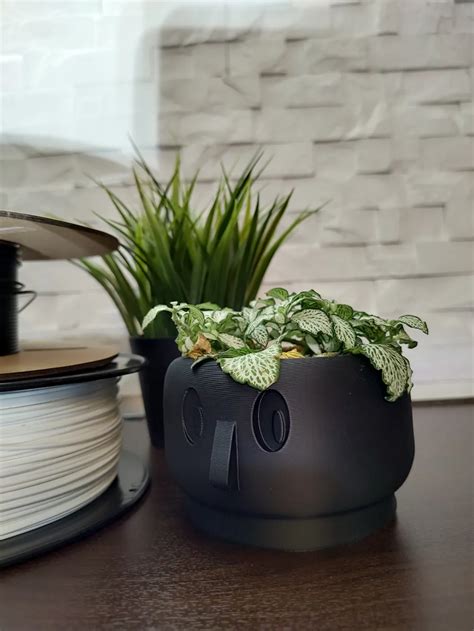 Nose Flowe Pot By Skierakmakerworld Download Free 3d Models