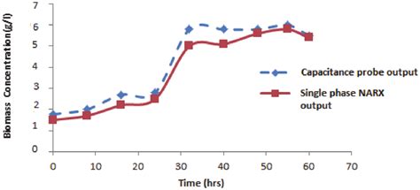 comparison of narx model output with experimental biomass concentration