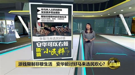 派发更多现金援助 安华争取马来选民好感 八点最热报 29 08 2023 YouTube