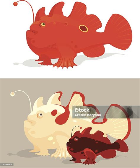 Frogfish Stock Illustration Download Image Now Frogfish Exoticism