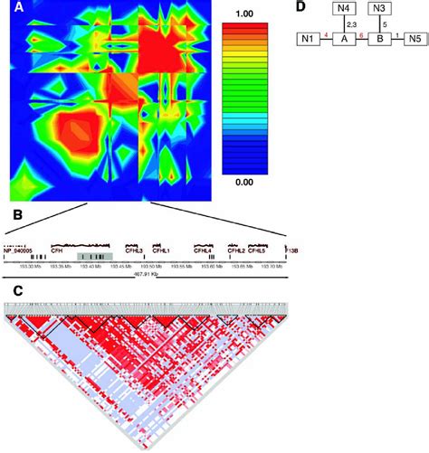 Figure 2 From Complement Factor H Polymorphism In Age Related Macular Degeneration Semantic