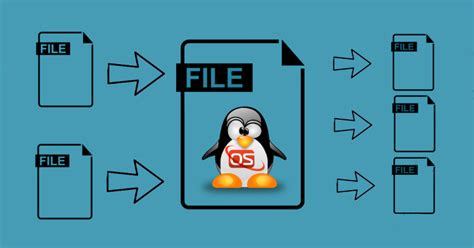 Linux Split File How To Split A File Into A Parts Ehostidc