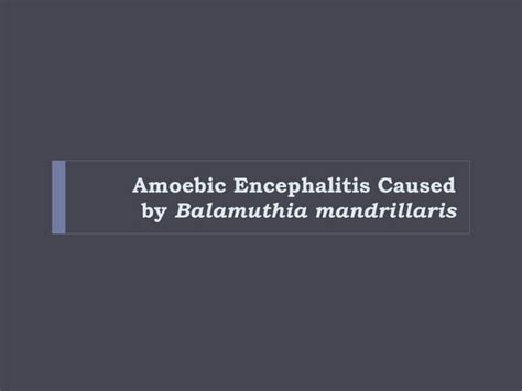 Granulomatous Amoebic Encephalitispptx Brain And Nervous System