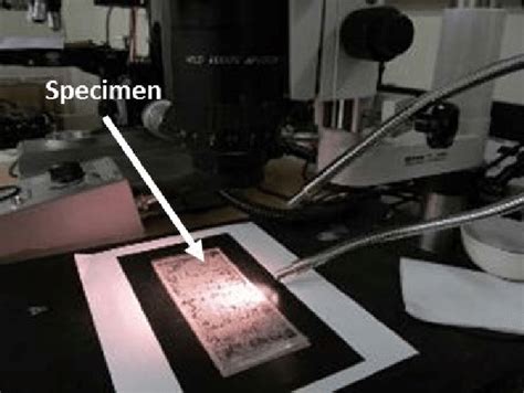 Light Microscope With Adjustable Lighting Of The Specimen The Black