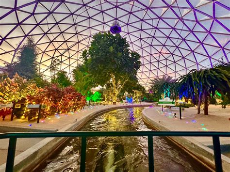 Disney World Greenhouse Inside Look Disneys Epcot Flower And Garden