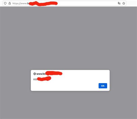 Ahmed Zakaria Mohamed On Linkedin Xss