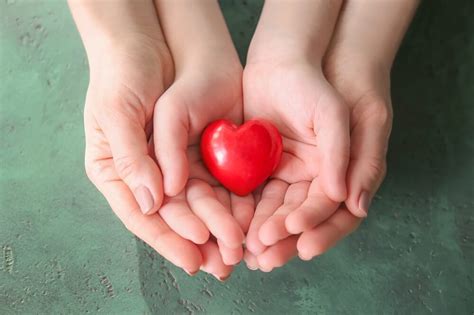 Sex Education In Primary Schools Safeguarding Considerations From The