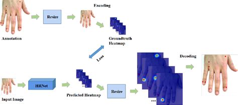 Figure 3 From Hand Acupoint Detection From Images Based On Improved